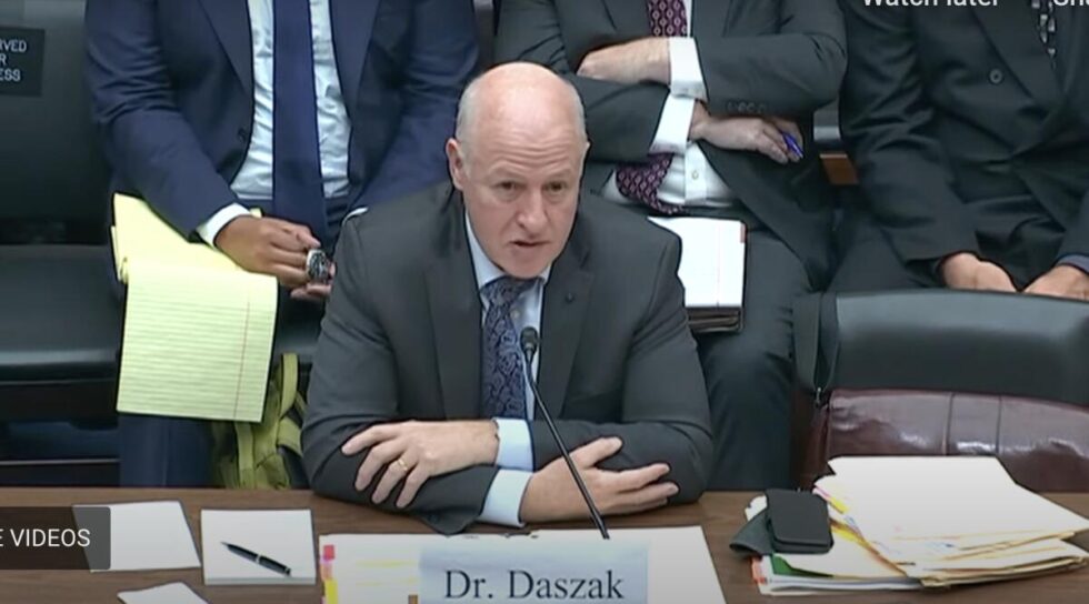 RFID Tags in Cattle: Does Surveillance Equal Better Health? - Beef News