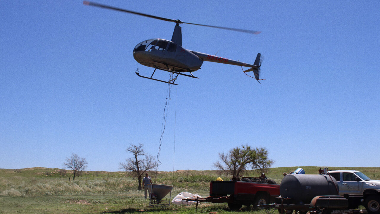 CoBank Report: Beef Initiative Aids Cattle Industry Recovery