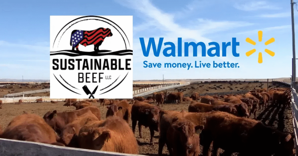 The Big Four Just Became Five: Walmart Quietly Captures the Beef Chain ...