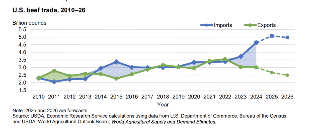 Cattle Supply Cliff: Why U.S. Beef Production Faces a Multi-Year ...
